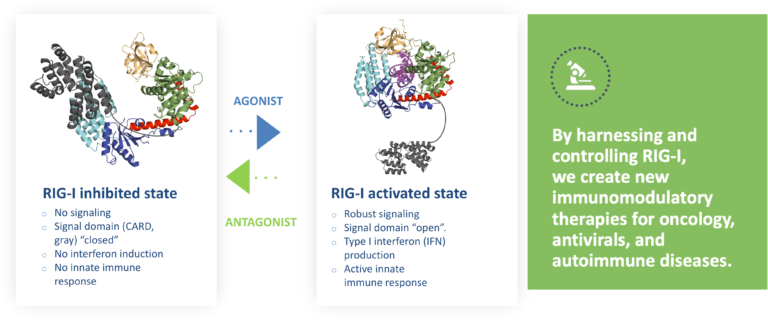 Our Technology - RIGImmune Inc.